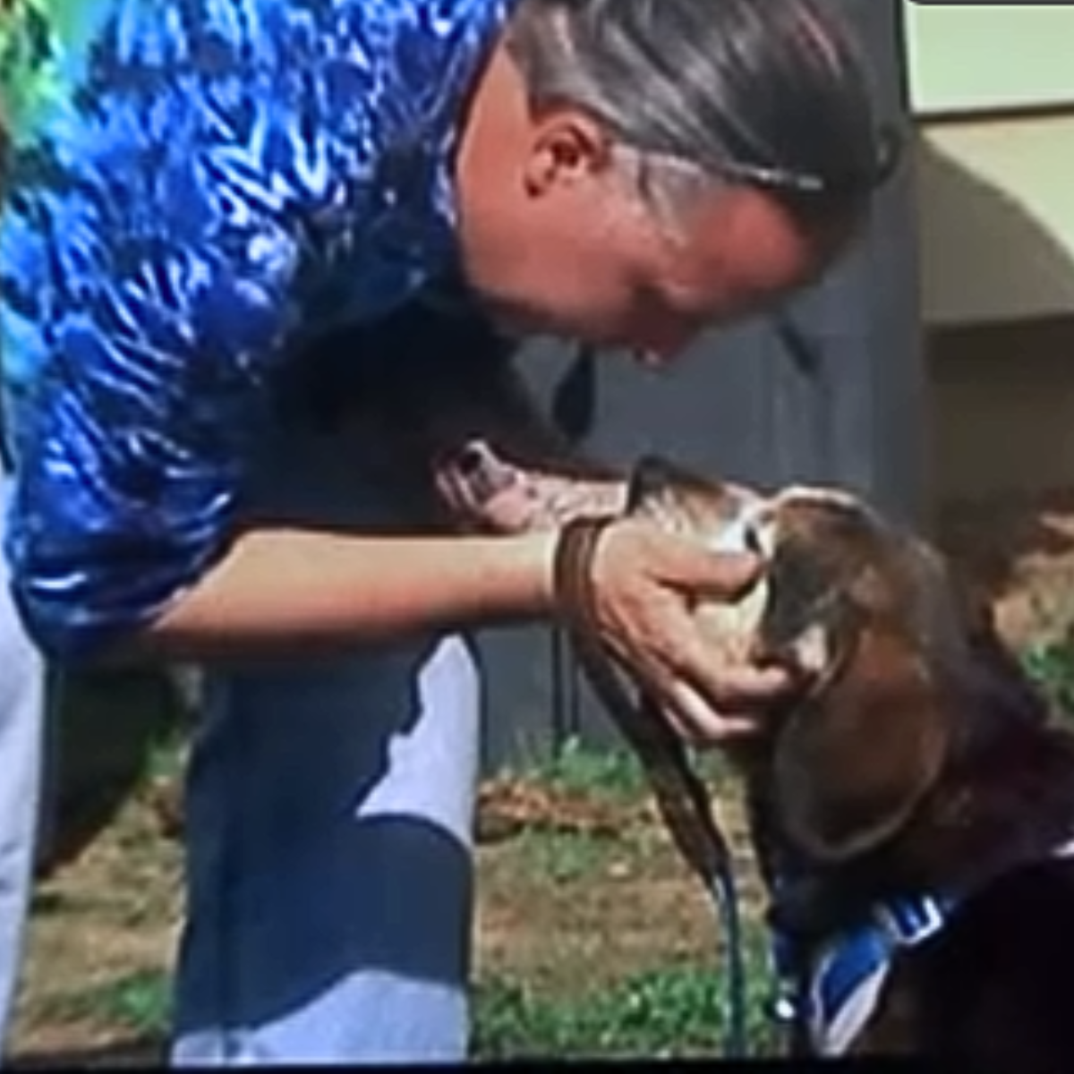 Long-Lost Beagle Reunites with Owner After Two Years - Jaxery
